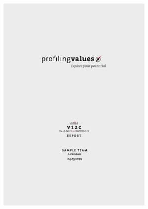 profilingvalues | report formats
